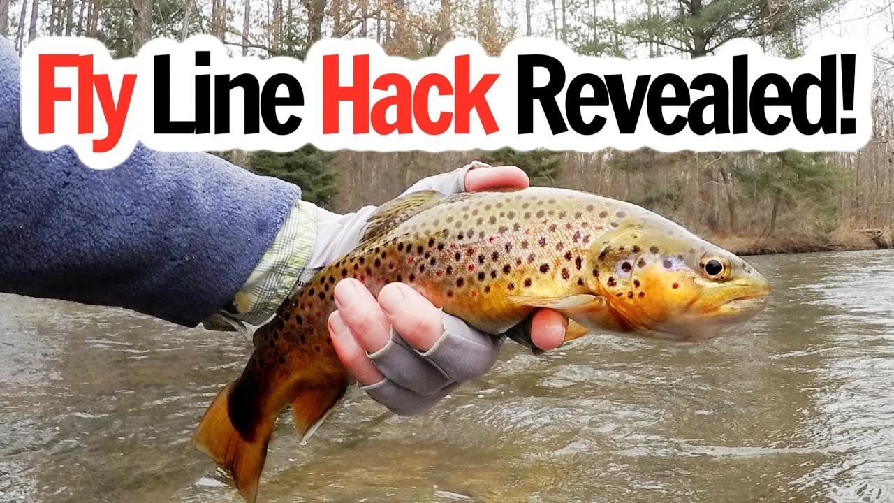 How to Clean and Treat Your Fly Line for Better Casting (Armor All Hack ...