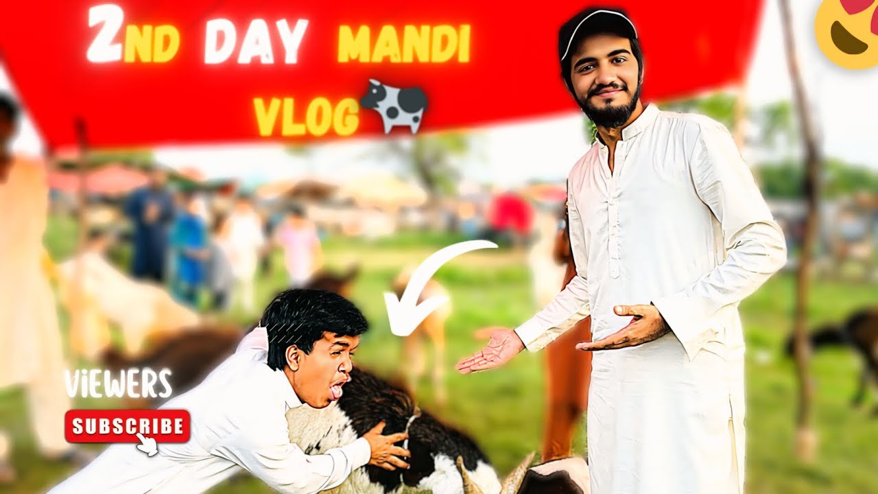 Mandi vlog 2025💫| dobara mandi pohanch gaye | mani with dani🔥 | 2nd day ...