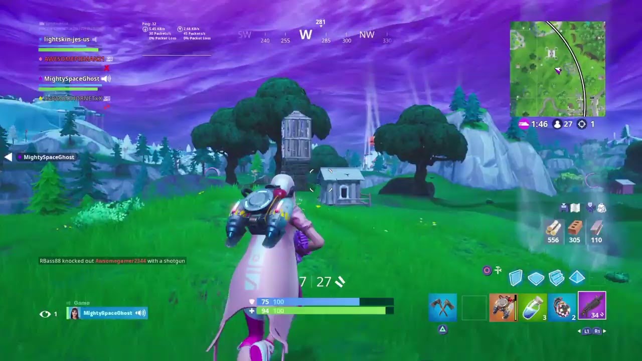 fortnight gameplay birds and the bees - YouTube