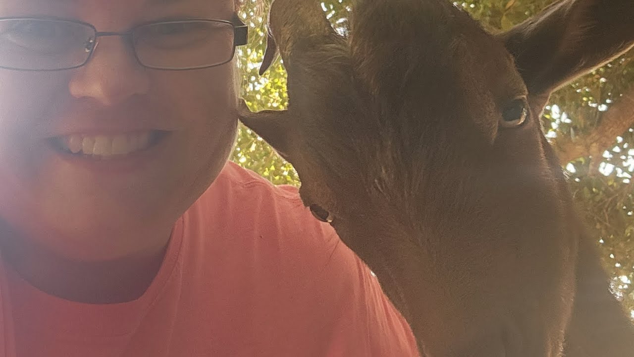 Expansion of the back yard with Draco and the farm animals. - YouTube