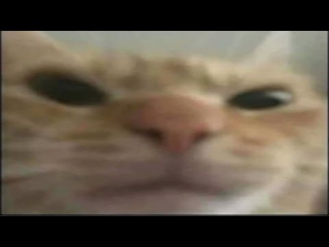A Very Angry Mood