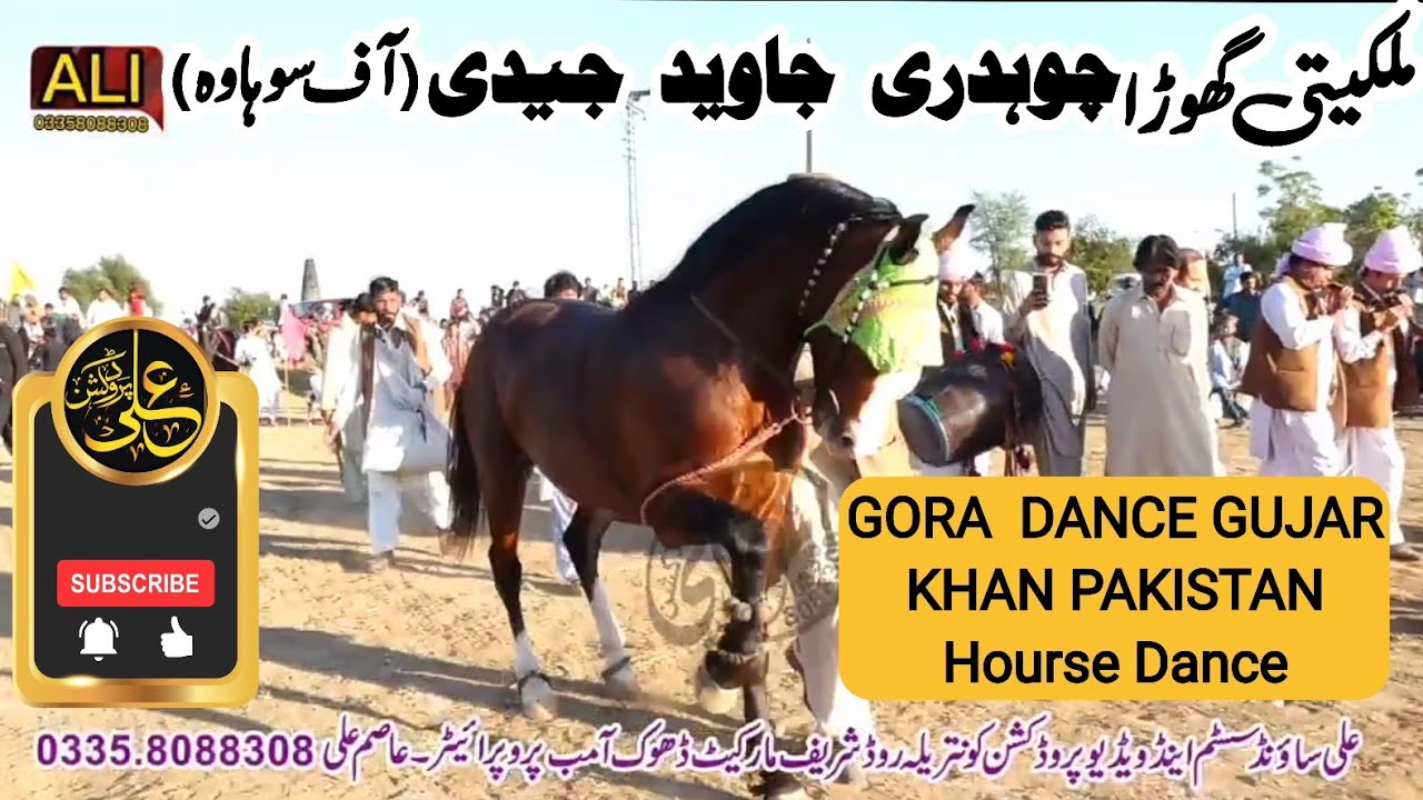 gora dance GUJAR KHAN PAKISTAN Hourse Dance ملکیتی گھوڑا چوہدری جاوید ...
