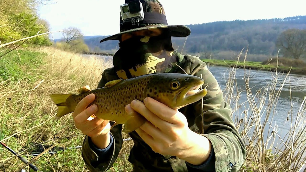 Brown trout fishing on a Paddy`s Day. Clonmel- Ireland. UHD 4k - YouTube