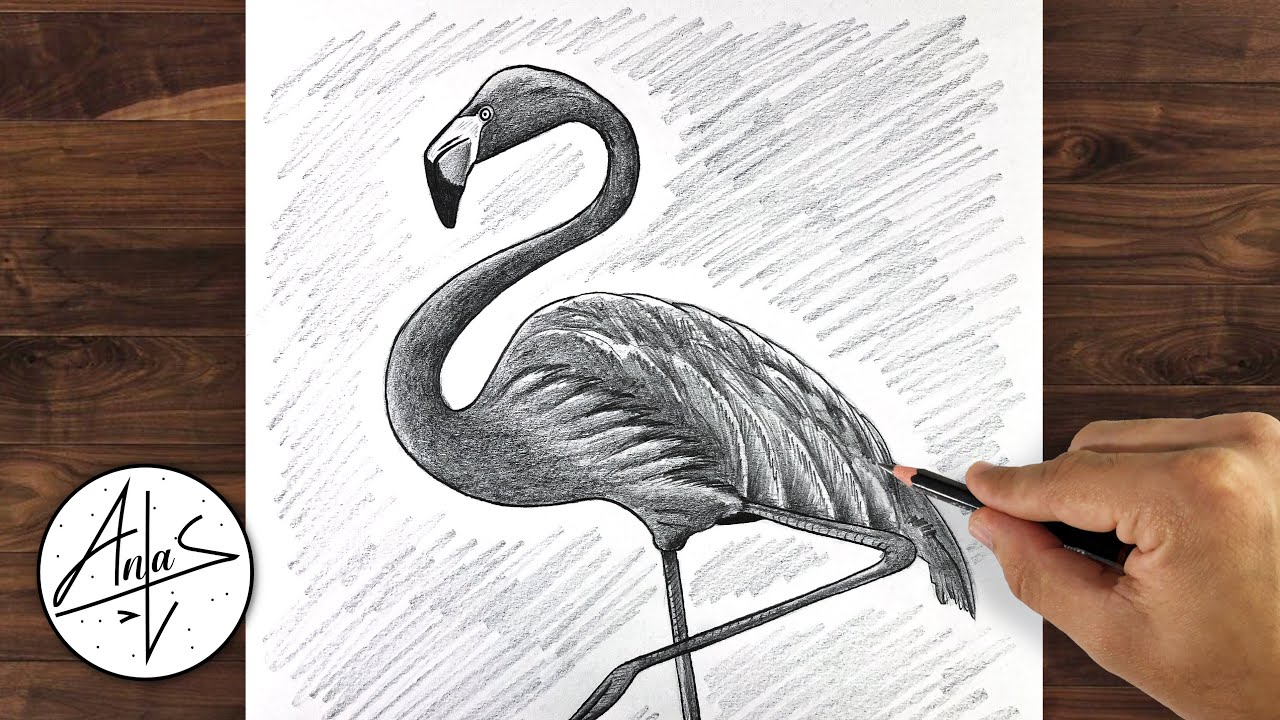 How To Draw a FLAMINGO | Drawing Tutorial For Beginners (step by step ...