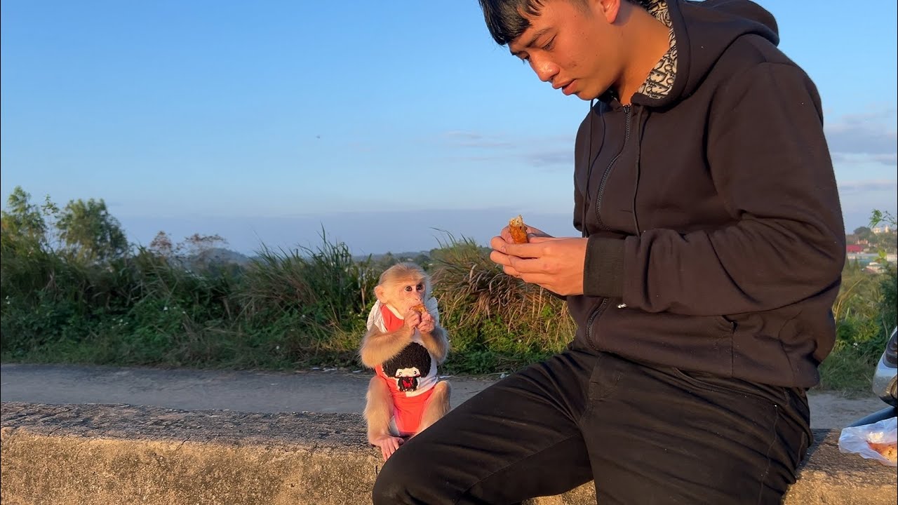 Monkey Luk excited to go see majestic scenery with dad - YouTube