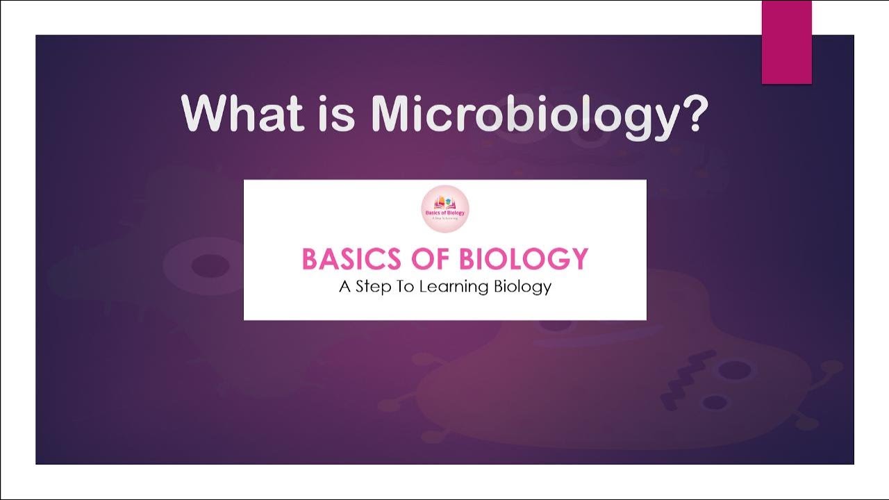 What is Microbiology? Importance and Scope of Microbiology | Basics Of ...