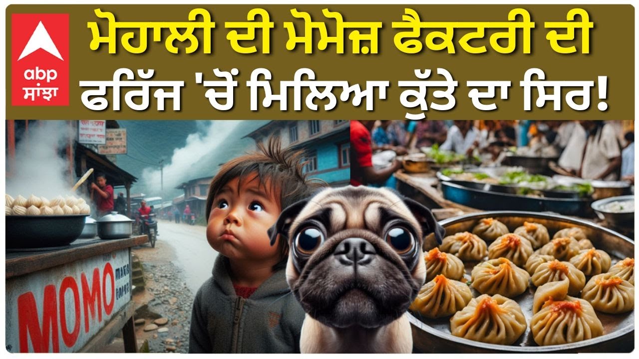 Dog's severed head found in momo factory fridge|ਮੋਮੋਜ਼ ਫੈਕਟਰੀ ਦੇ ਫਰਿੱਜ ...