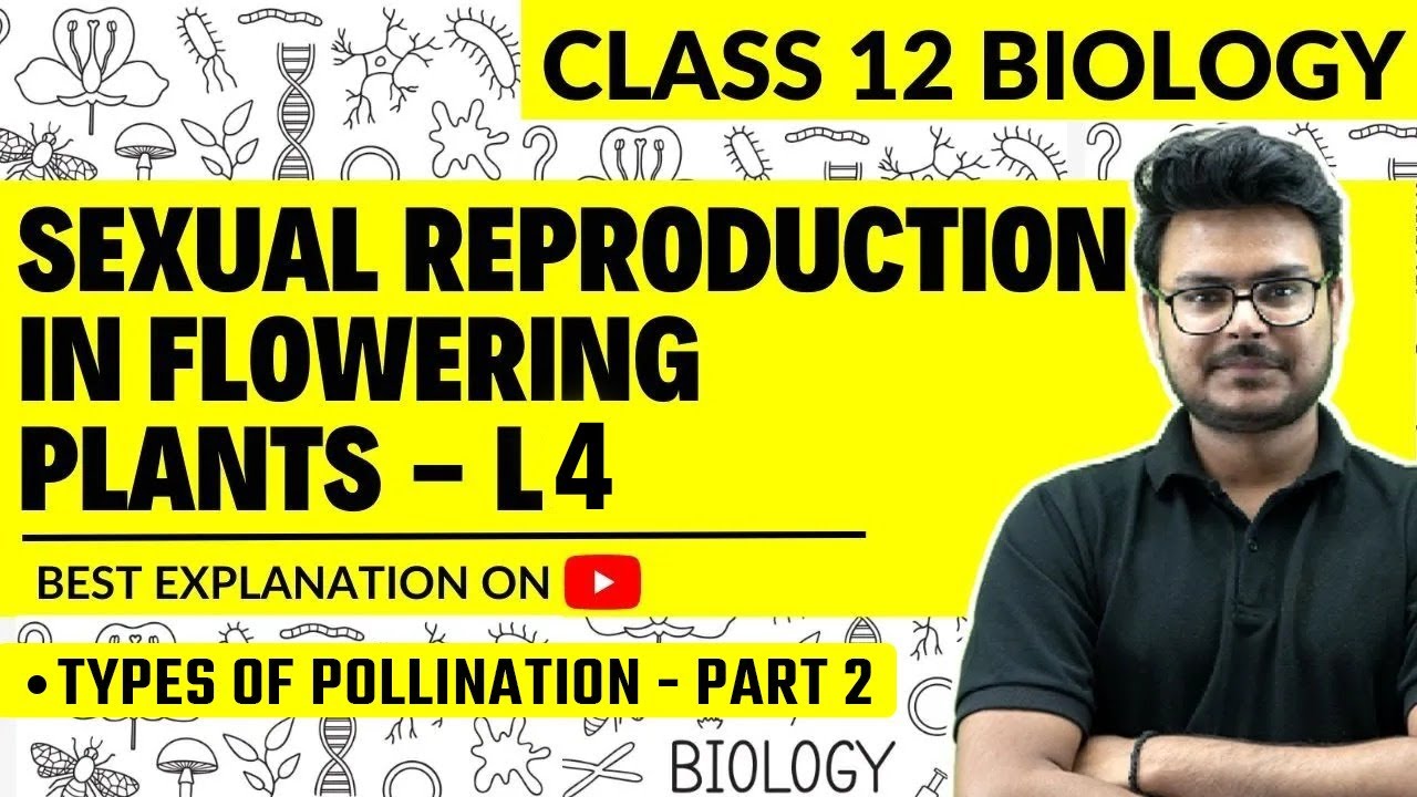 Class 12 Biology Chapter 1 | Sexual Reproduction in Flowering Plants ...