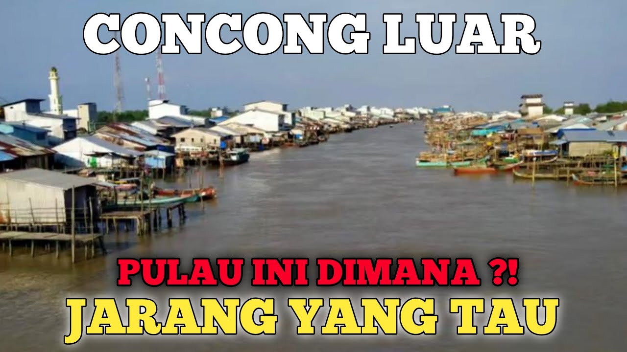 CONCONG LUAR PULAU YANG KAYA HASIL LAUTNYA INDRA GIRI HILIR RIAU ...