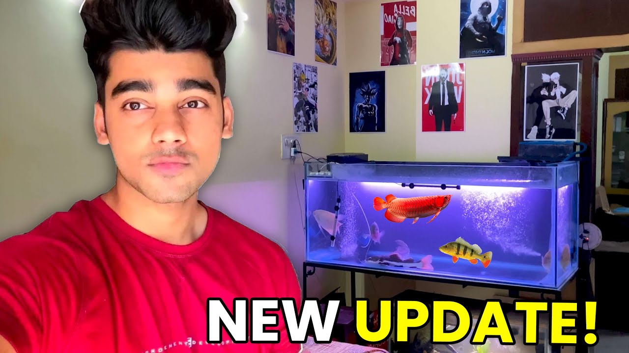 UPGRADING My MONSTER FISH TANK 🔥| Biggest Monster Fish Tank in Vizag ...
