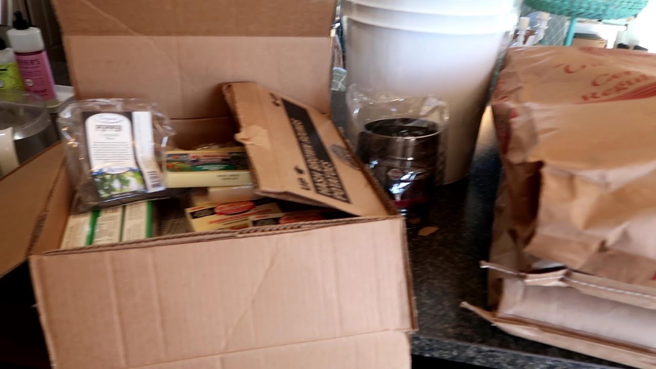 First Ever Azure Standard Haul/Azure Standard - YouTube