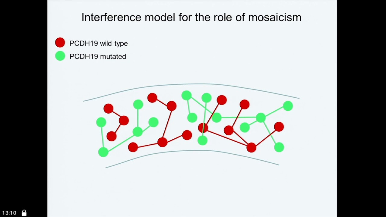 PCDH19 Alliance 2016 Conference - Dr Gian Michele Ratto - YouTube