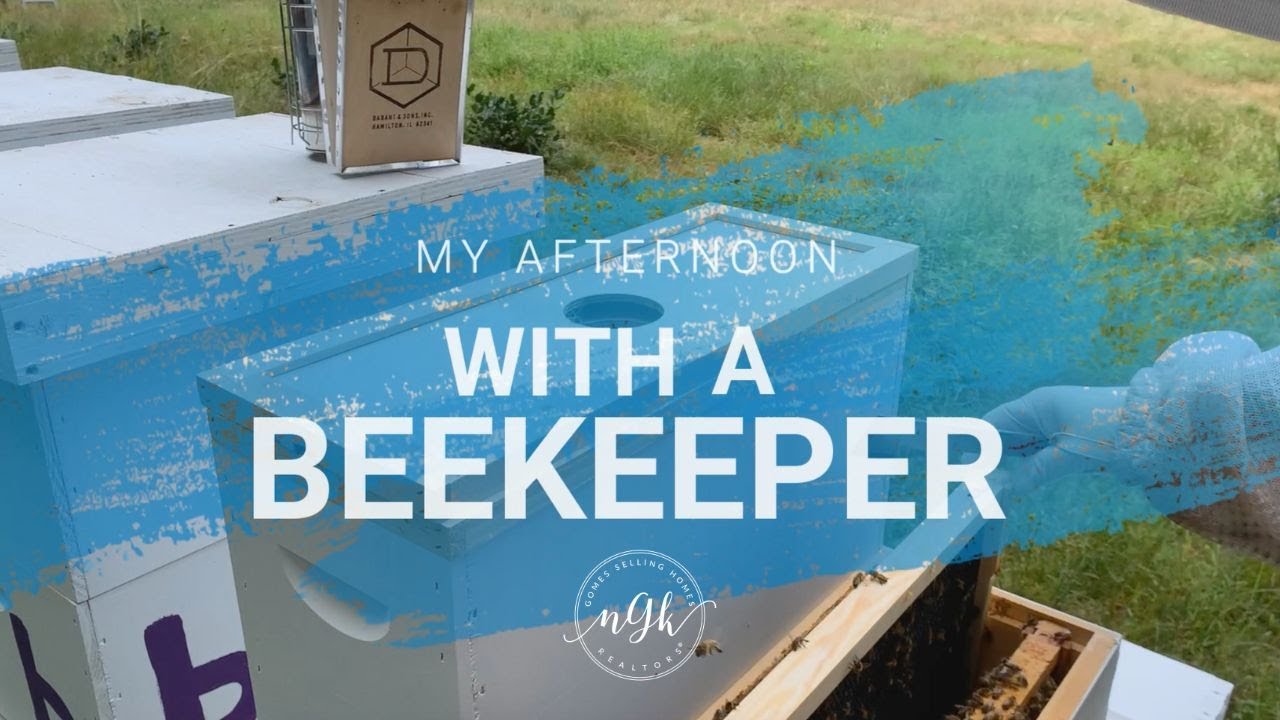 Local Love | Season 2 Episode 1 | Smith Mills Apiaries - YouTube