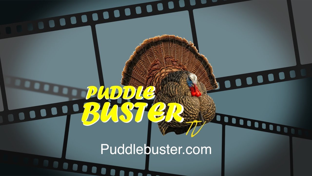 Puddle Buster Roosted is Roasted-Tennessee Longbeard EP.6 - YouTube