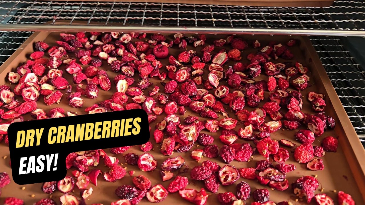 Tips You Need To Know to Dry Cranberries | Dehydrate Cranberries - YouTube