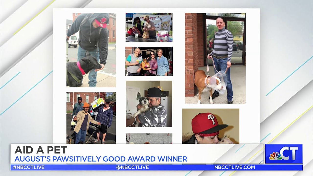 CT LIVE!: August's PAWSitively Good Award Winner Aid a Pet - YouTube