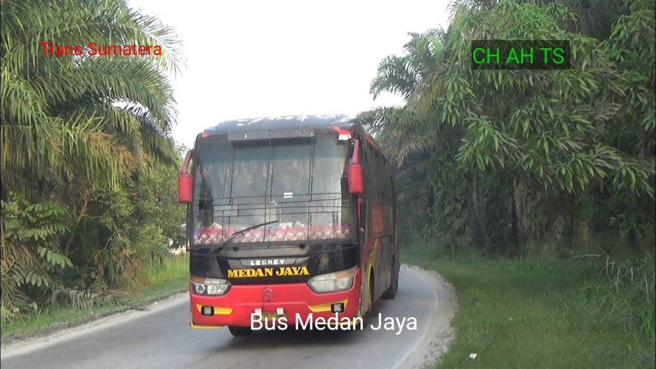 Bus MEDAN JAYA area'jalan lintas Kota Kandis - YouTube