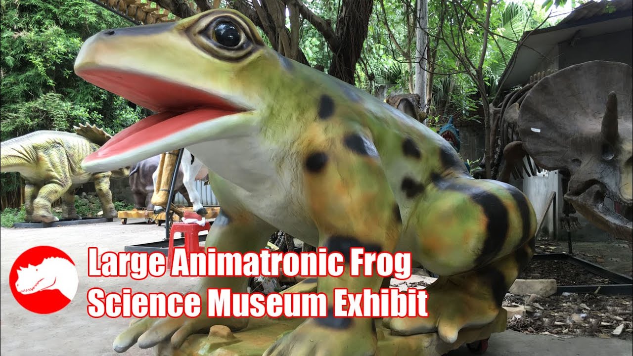 Science Museum Insect Exhibit - Large Animatronic Frog Model - YouTube
