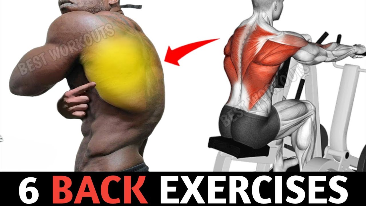 6 Best Back Exercises to Build Bigger Back - YouTube