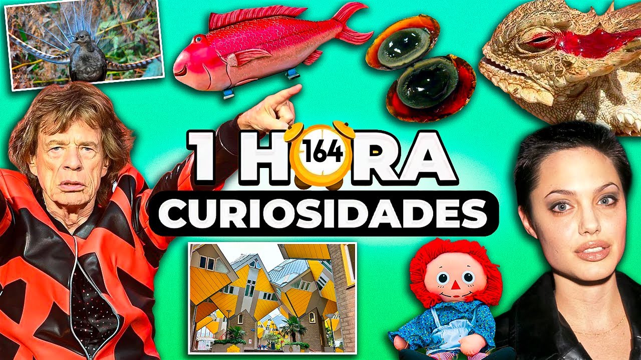 1 HORA De DATOS CURIOSOS y CURIOSIDADES ASOMBROSAS Del Mundo - YouTube