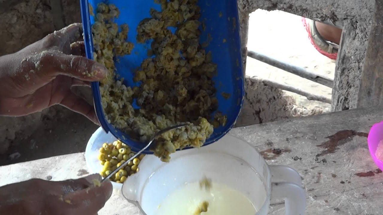 Chicha de Nance - YouTube