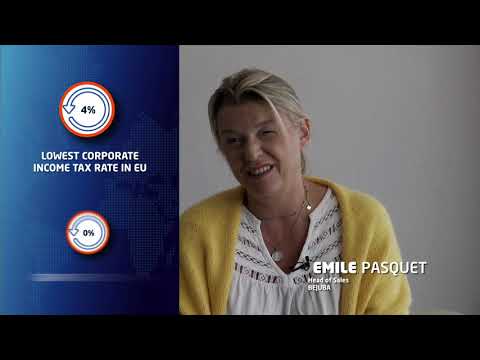 Canadian Animation Studios Testimonials, 2019. - YouTube