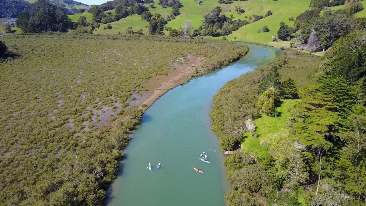 Puhoi River - New zealand, Kayaking Offsite 04-17 - YouTube