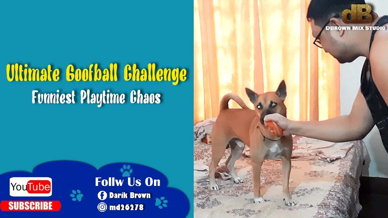 Ultimate Goofball Challenge Funniest Playtime Chaos - YouTube