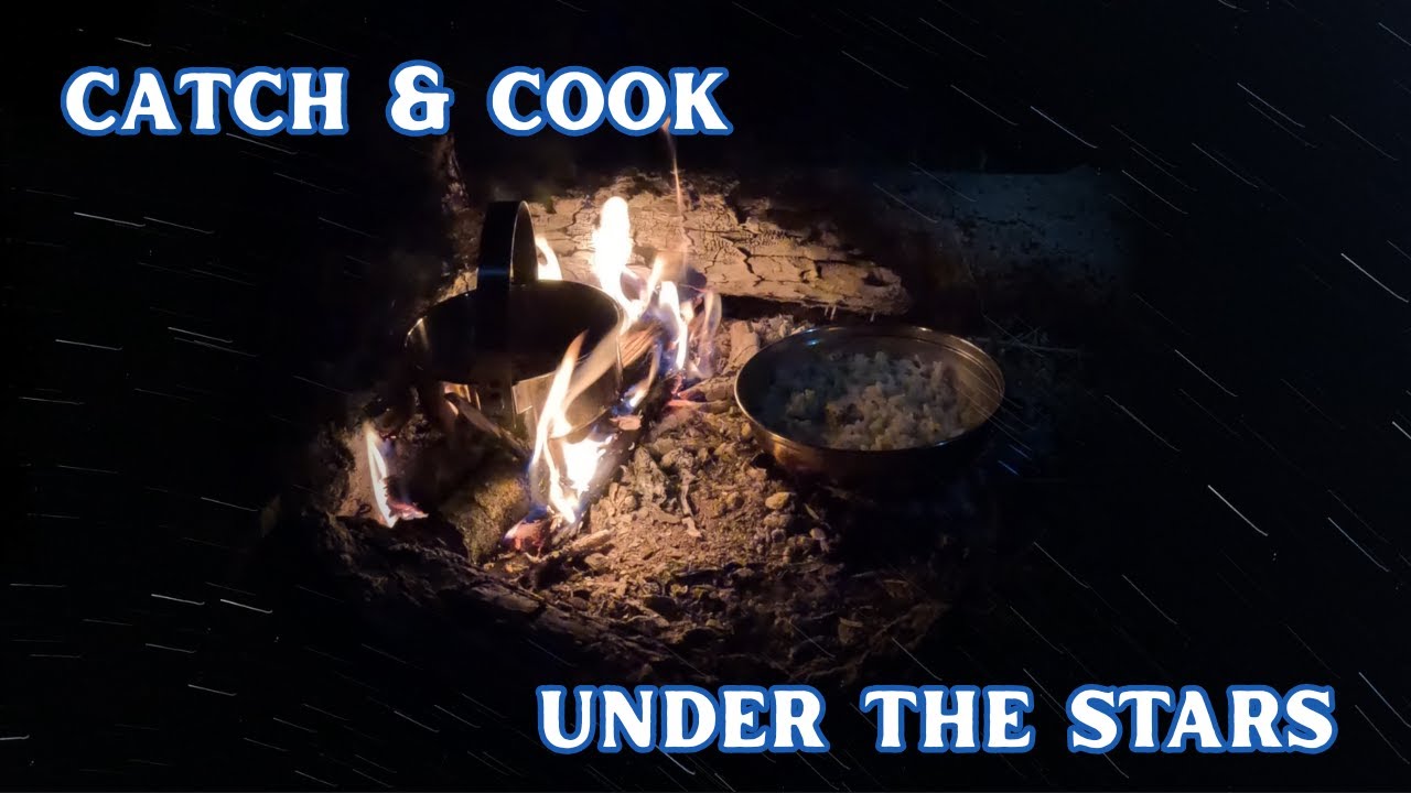 Catching Catfish and Constellations | Catch and Cook During a Black ...