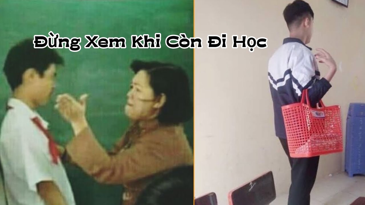 ĐỪNG XEM KHI CÒN ĐI HỌC | Meme ảnh chế | Cậu vàng làm meme | Memes ...