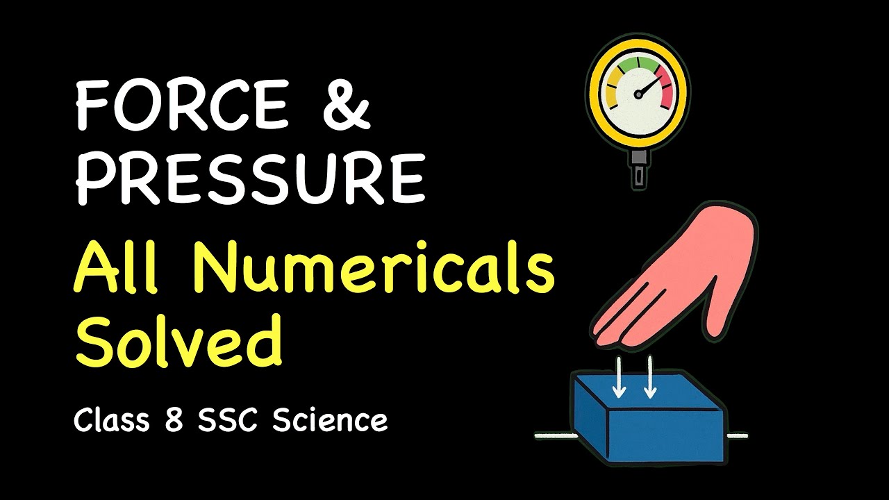 Force and Pressure All Numericals | Lesson 3 Class 8 SSC Science | Marathi + English | PDF ...