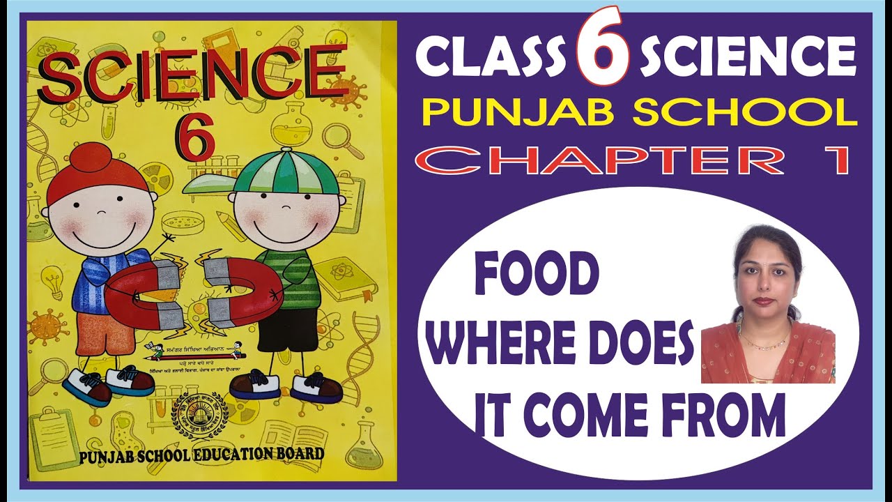 6th SCIENCE CHAPTER 1 FOOD: WHERE DOES IT COME FROM? new book (WITH ...
