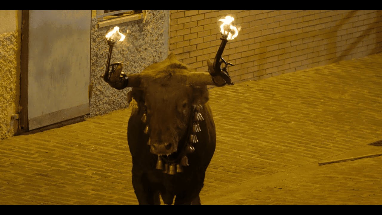 Toros barrio Monteblanco - Onda primera embolada - Toro de calle - YouTube