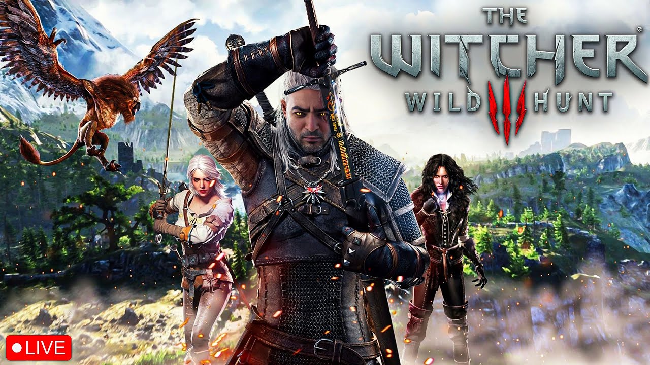 TOSS A LOT OF COINS TO YOUR WITCHER IN THE WITCHER 3: WILDHUNT #gaming ...