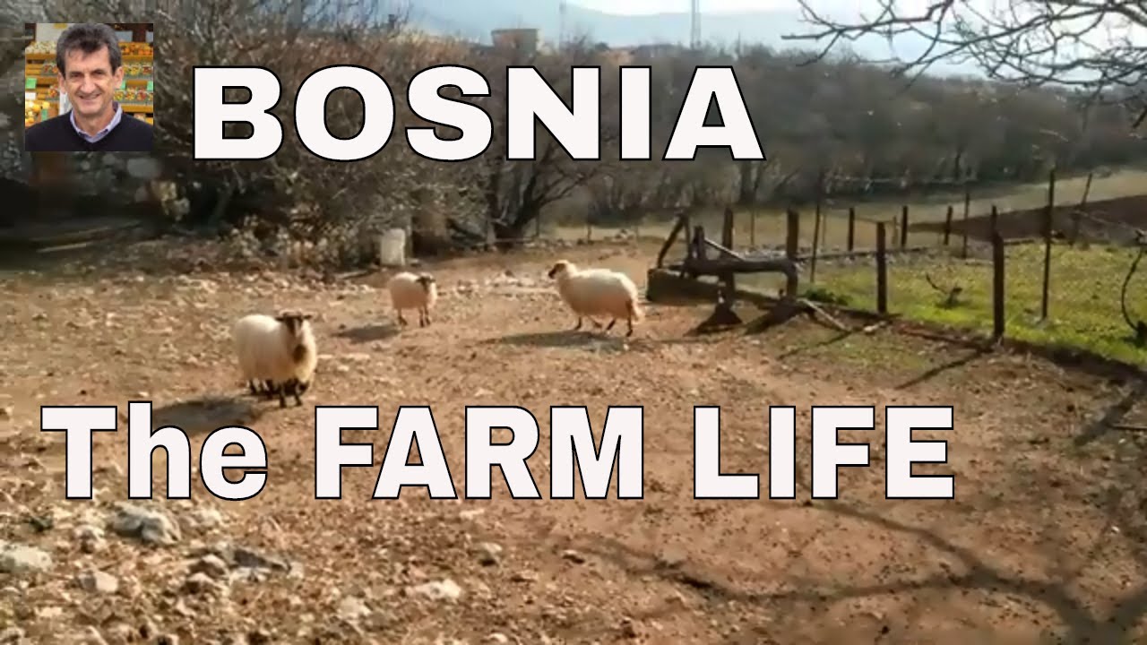 Bosnia - The Farm Life - YouTube