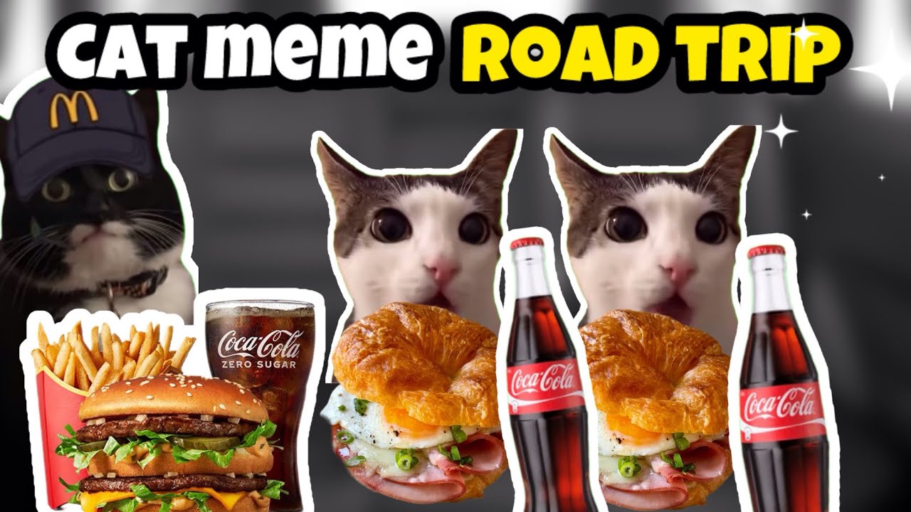 cat memes road trip compilation full 1 hour #memes #gatomeme #video # ...