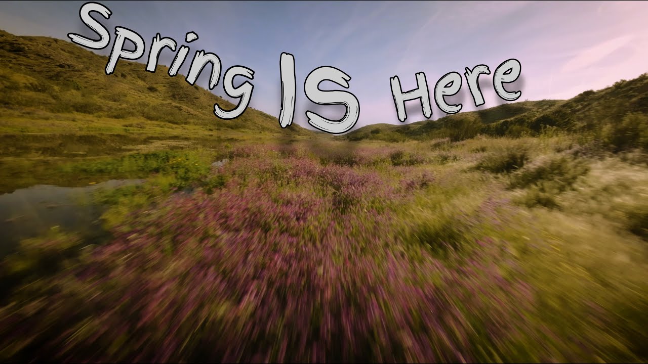 SPRING IS HERE 4K UHD - YouTube