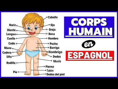 Les parties du CORPS HUMAIN en espagnol - Vocabulaire de base | Apprendre l'espagnol pour débutants