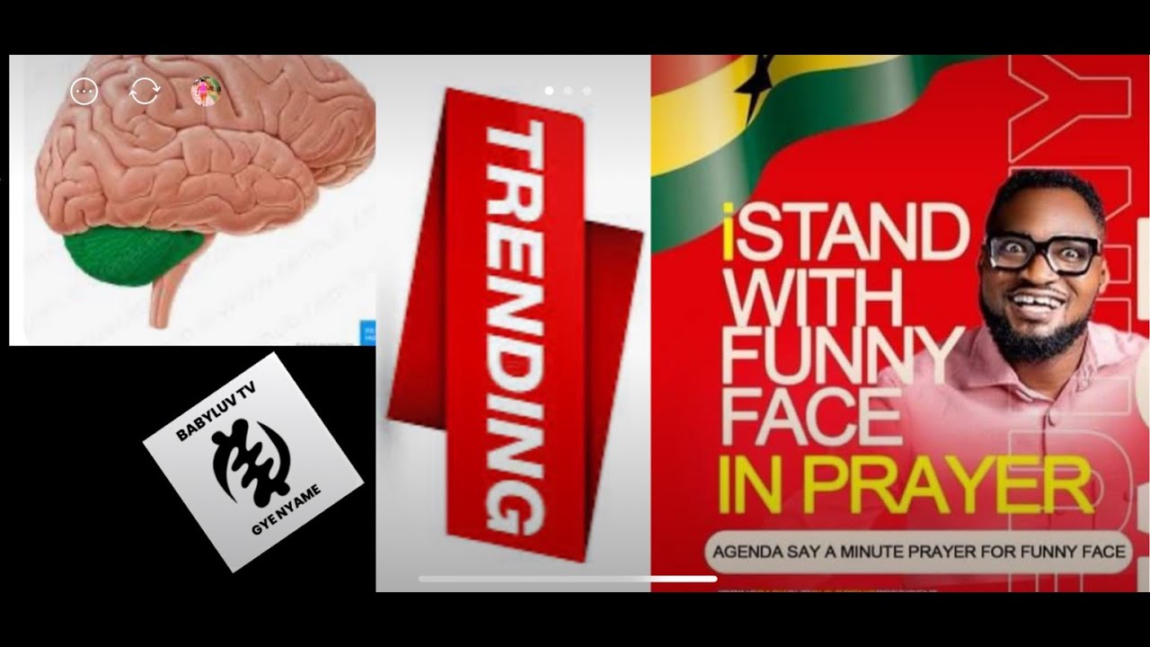 🔥🔥🤔🤔WEE TOFFEE CAUSED FUNNY MENTAL ISSUES🤔🤔🔥🔥HOW TO PROTECT THE HUMAN ...