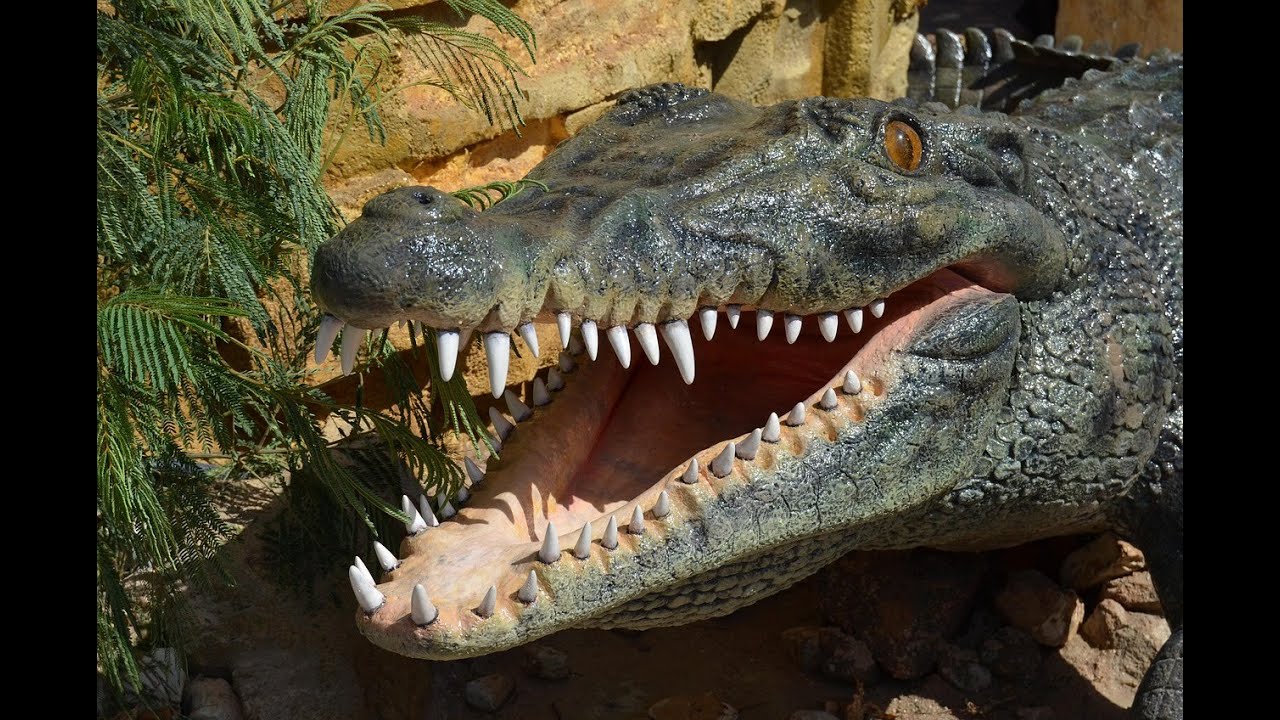 When Crocodiles Strike Most Shocking Wildlife Attacks Ever Filmed!Part ...