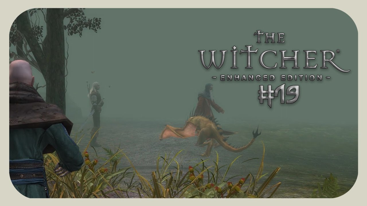 THE WITCHER #19 - Acabamos Com Um Chefe da Salamandra.. - YouTube