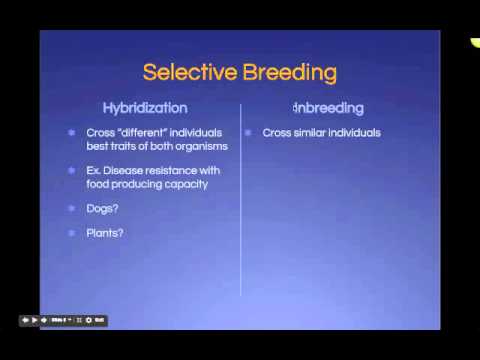 Genetic Engineering (1 of 4) 15.1- Selective Breeding - YouTube
