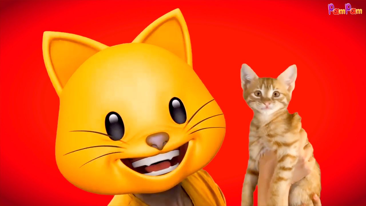 Little Cat Where Are You ? | PamPam Family | Kids Songs Nursery Rhymes ...