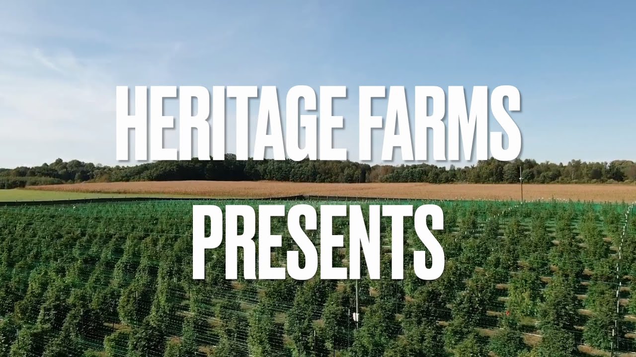 Heritage Farms Harvest 2021 - Marijuana Farm Drone Flyover in Northwest ...