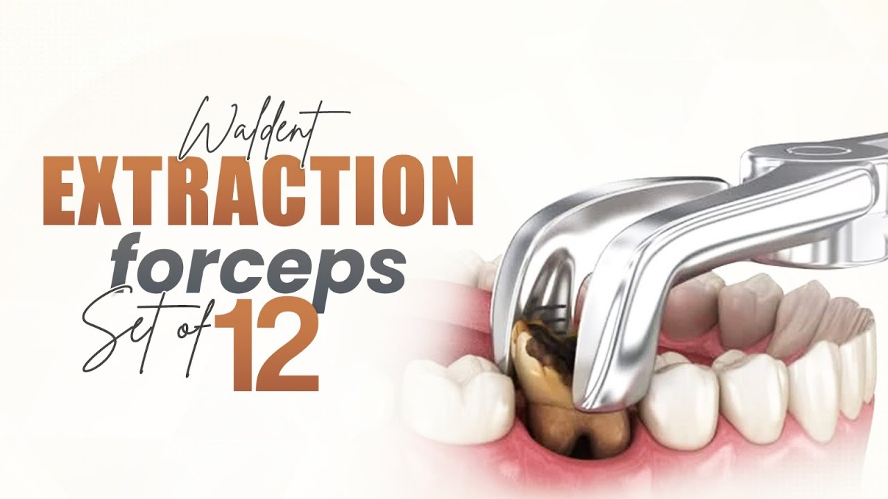 Dental Extraction Forceps | Waldent Extraction Forceps Set of 12 ...