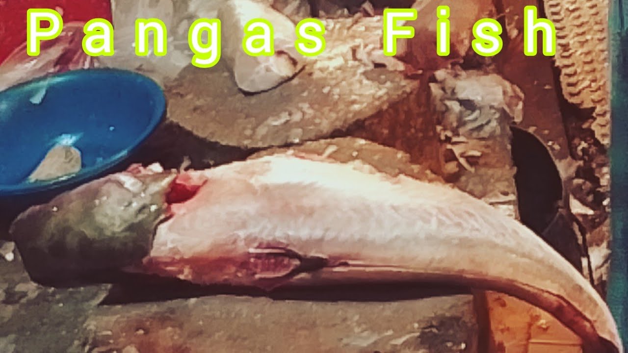 Super Famous Pangas Fish Clean Skills||Pangas Mach News||fish cutting ...