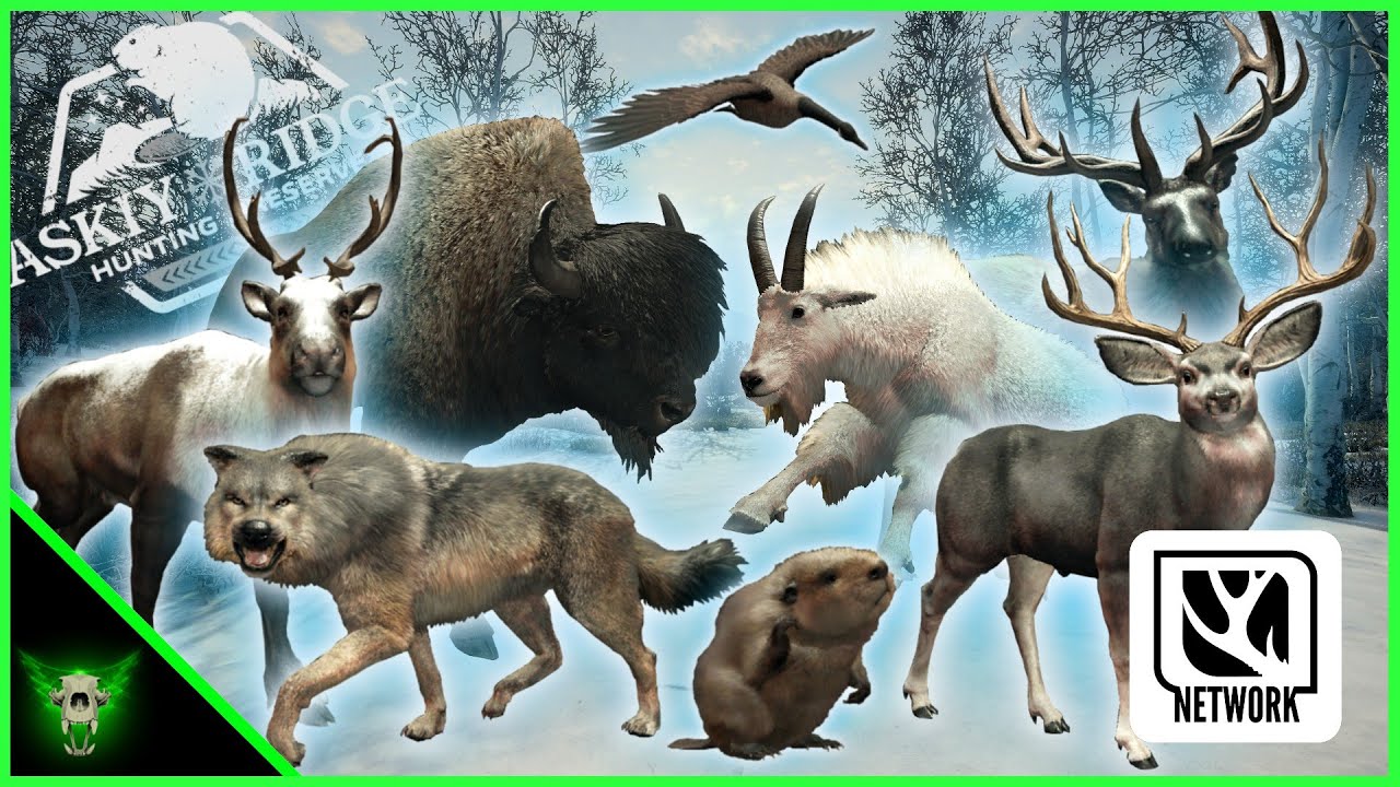 First Day on Askiy Ridge Alberta! theHunter: Call of the Wild *Early ...