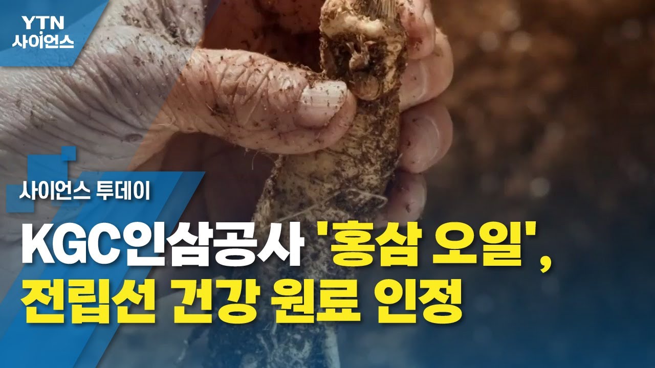 Kgc인삼공사 홍삼 오일 전립선 건강 원료 인정 Ytn 사이언스 Youtube