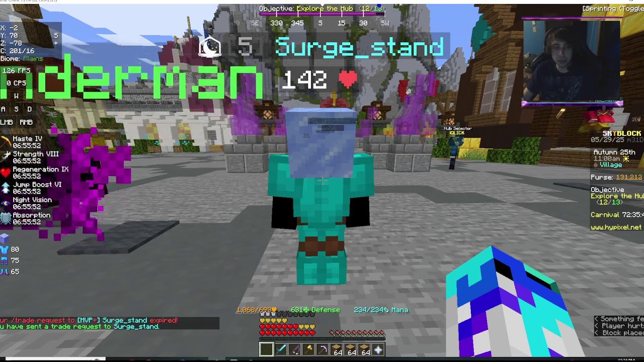 Minecraft HyPixel: Skyblock "Training Skills" again - YouTube