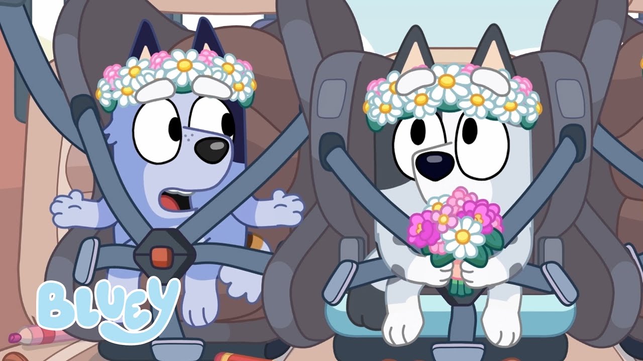 Destaques do Muffin e Socks Engraçadas! 💜 🤍 | Bluey Português Brasil ...